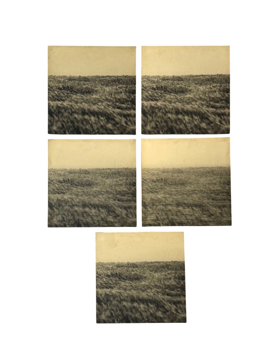 Gerry Hunt, Viewpoint Dima's Head & Seagrass, Photographs Mounted on ...