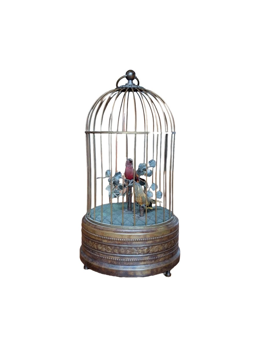 Vintage German Bird Cage Music Box with Singing Hummingbirds, 1960 for ...