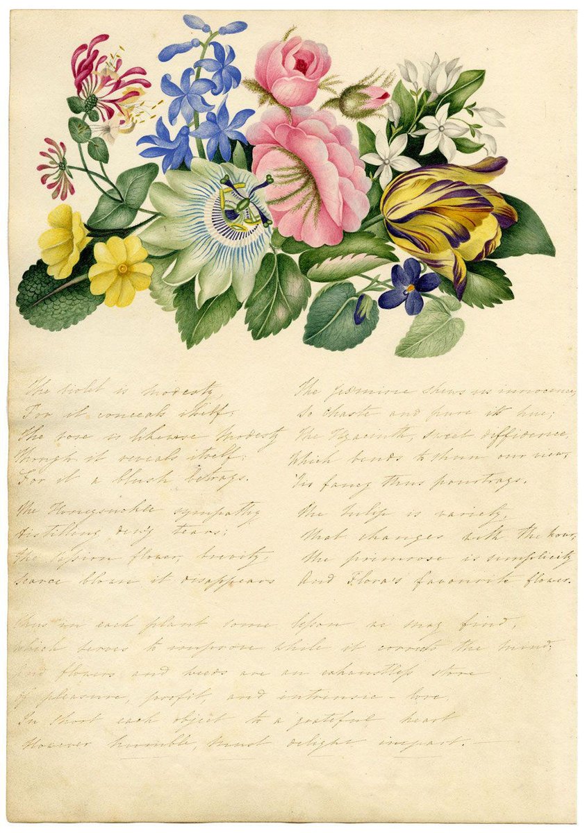 Floriography Poem & Flower Illustration, Early 19th Century ...