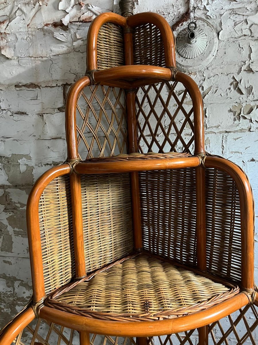 Vintage Wicker Corner Cabinet for sale at Pamono
