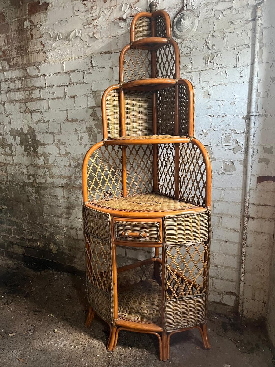 Vintage Wicker Corner Cabinet for sale at Pamono
