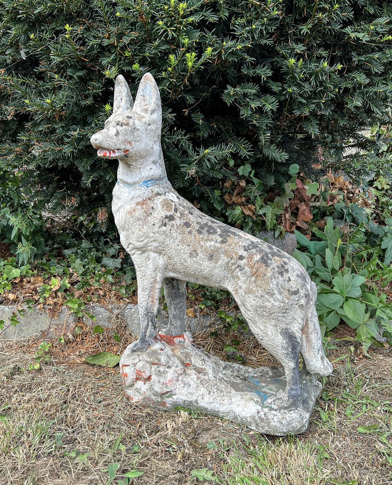 Concrete Stone Shepard Garden Dog Ornament Sculpture, 1950s for sale at ...