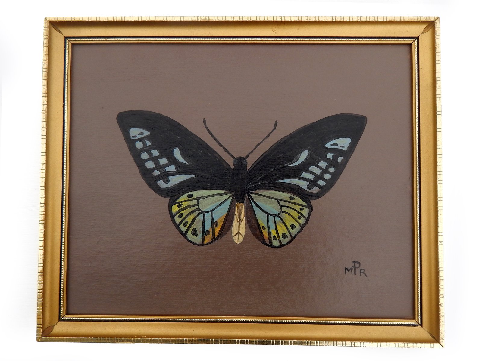 Matt Rix, Schmetterlingsexemplar im naiven Stil in Blau und Grün ...