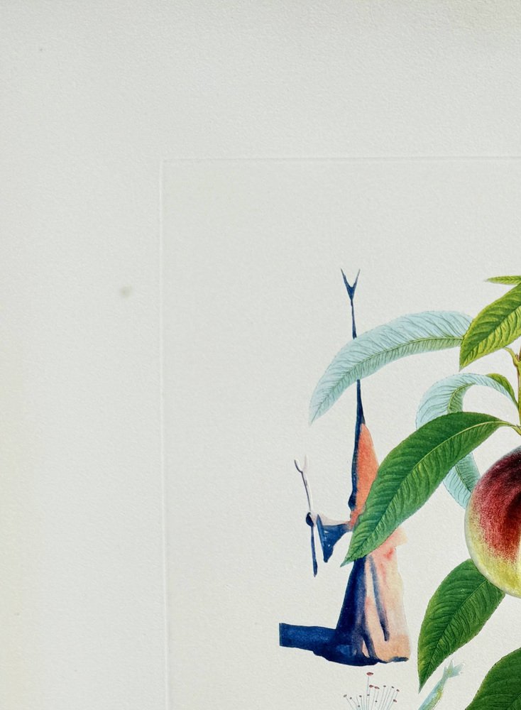 Salvador Dali, Penitent Peach Tree from Flordali Suite, 1969 ...