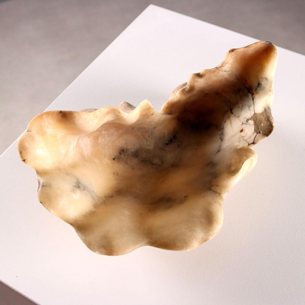 Alabaster Centerpiece in Shell Shape for sale at Pamono