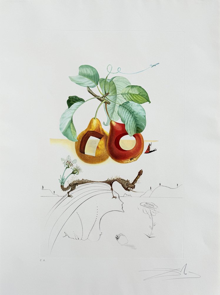Salvador Dali, Holed Fruit from Flordali Suite, 1969, Lithograph with ...