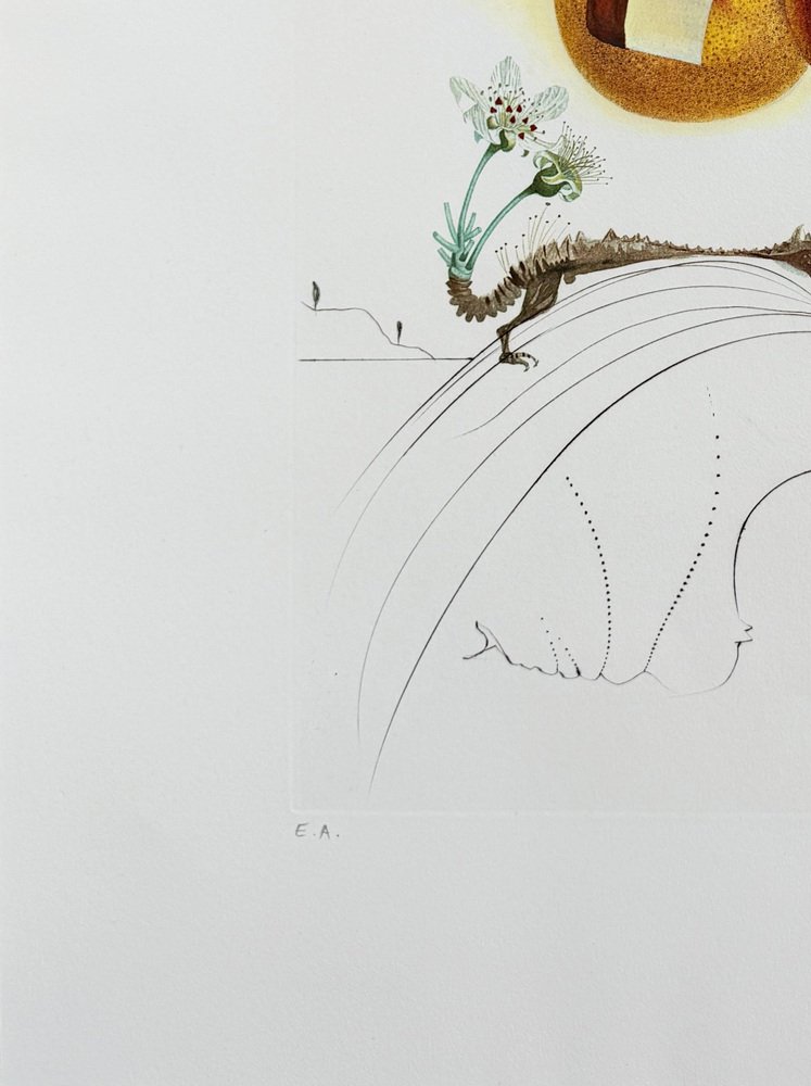 Salvador Dali, Holed Fruit from Flordali Suite, 1969, Lithograph with ...