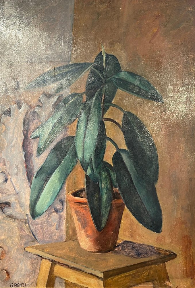 Giulio Benzi, Plant, Oil Painting on Cardboard, Framed for sale at Pamono