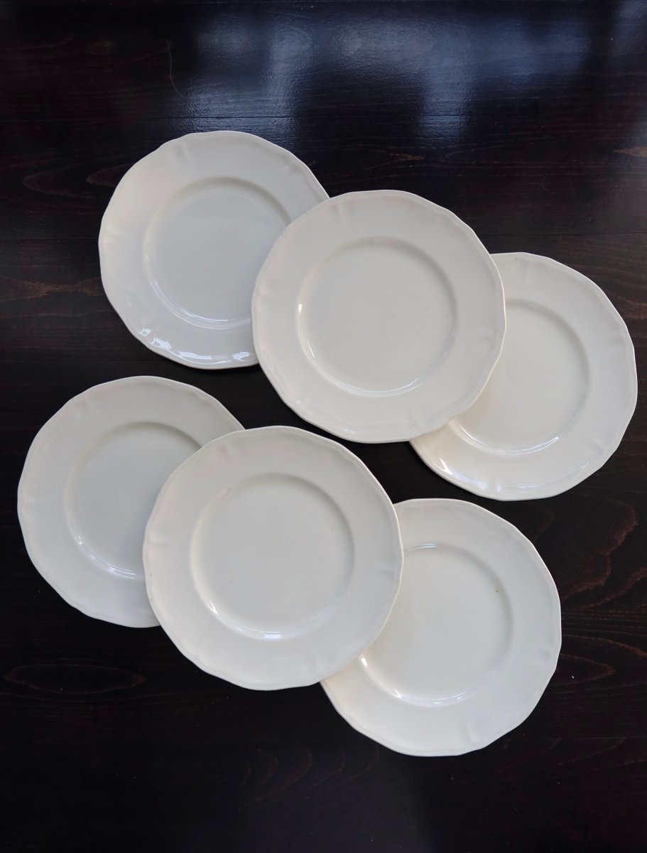 Vintage Ivory Earthenware Dinner Plates with Scalloped Edge, 1950s, Set ...