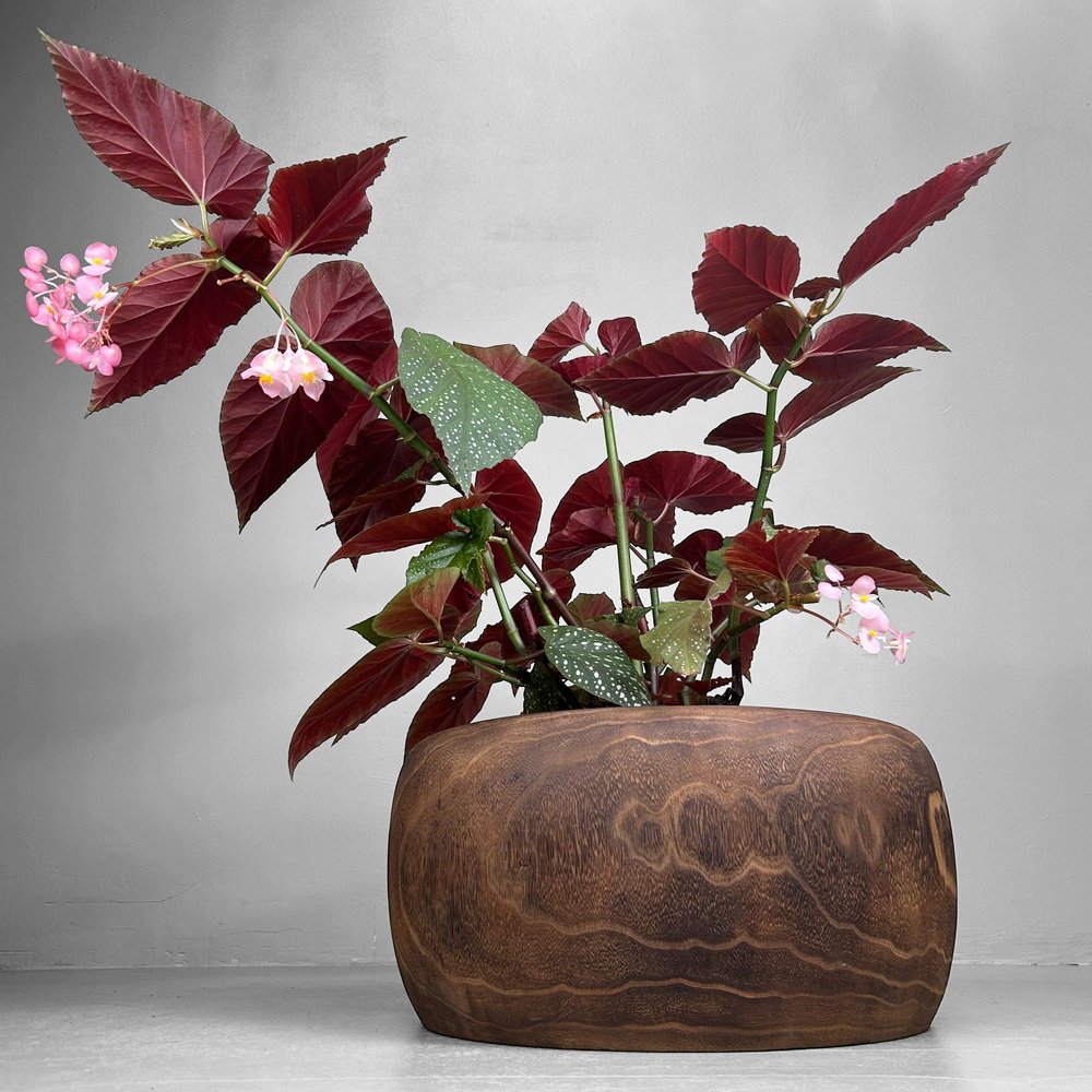 Large Japanese Hibachi in Paulownia Wood, 1920s for sale at Pamono