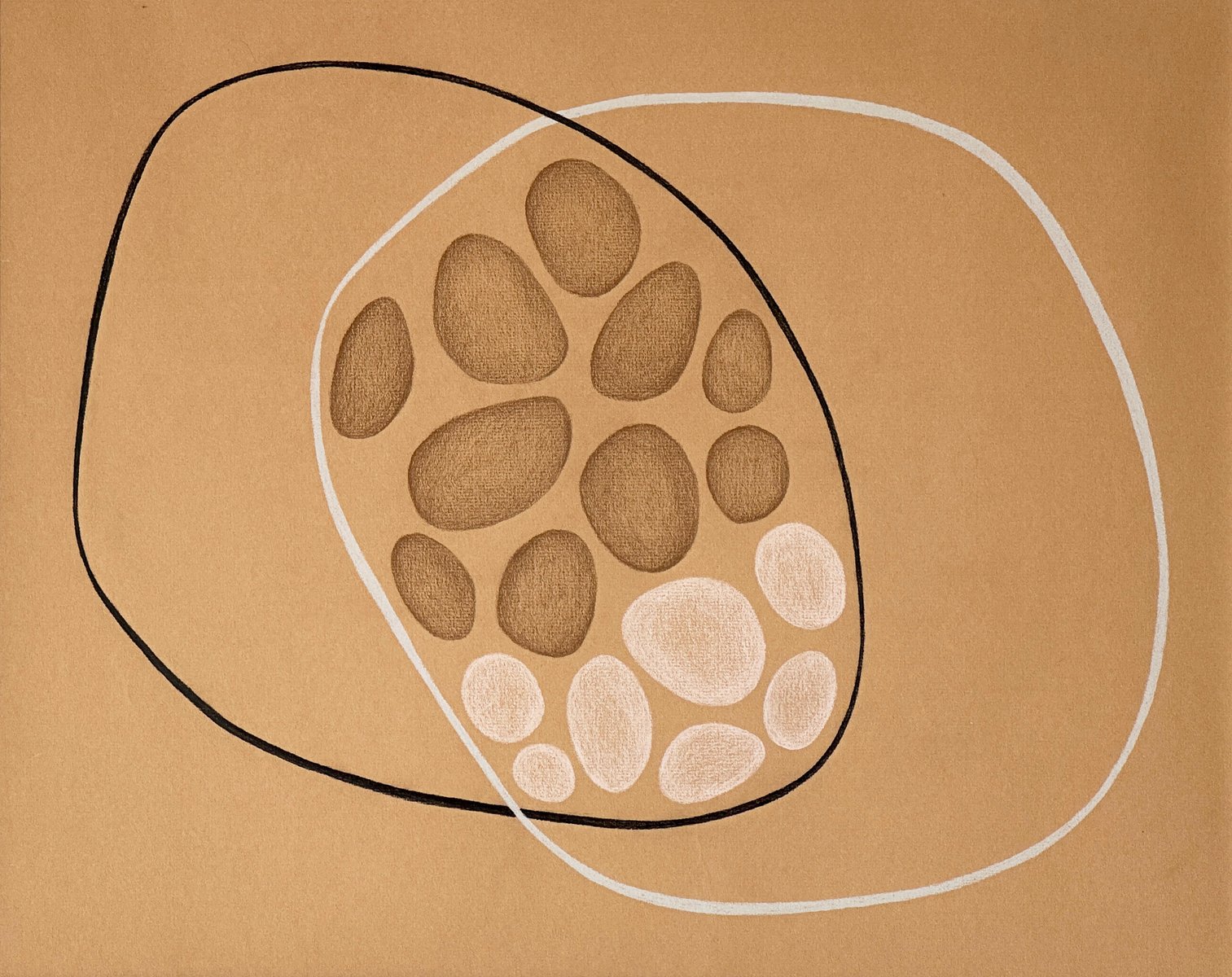 Amanda Andersen, Venn Diagram, Colored Pencil Drawing on Brown Paper ...