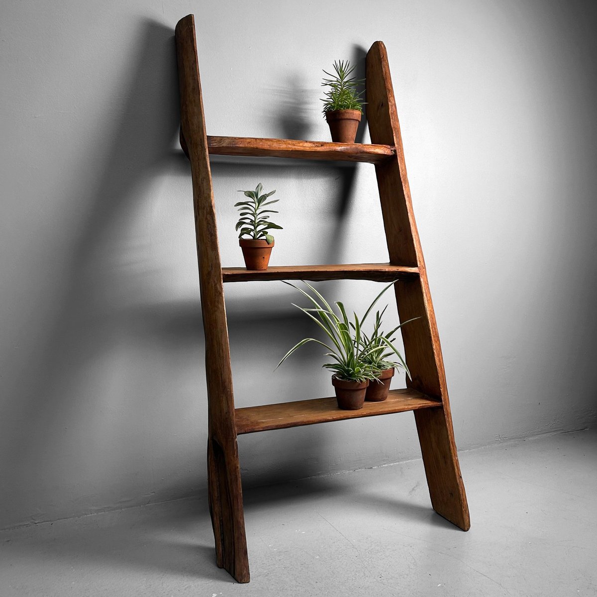 Antique Japanese Wooden Ladder from Hashigo, 1930s for sale at Pamono