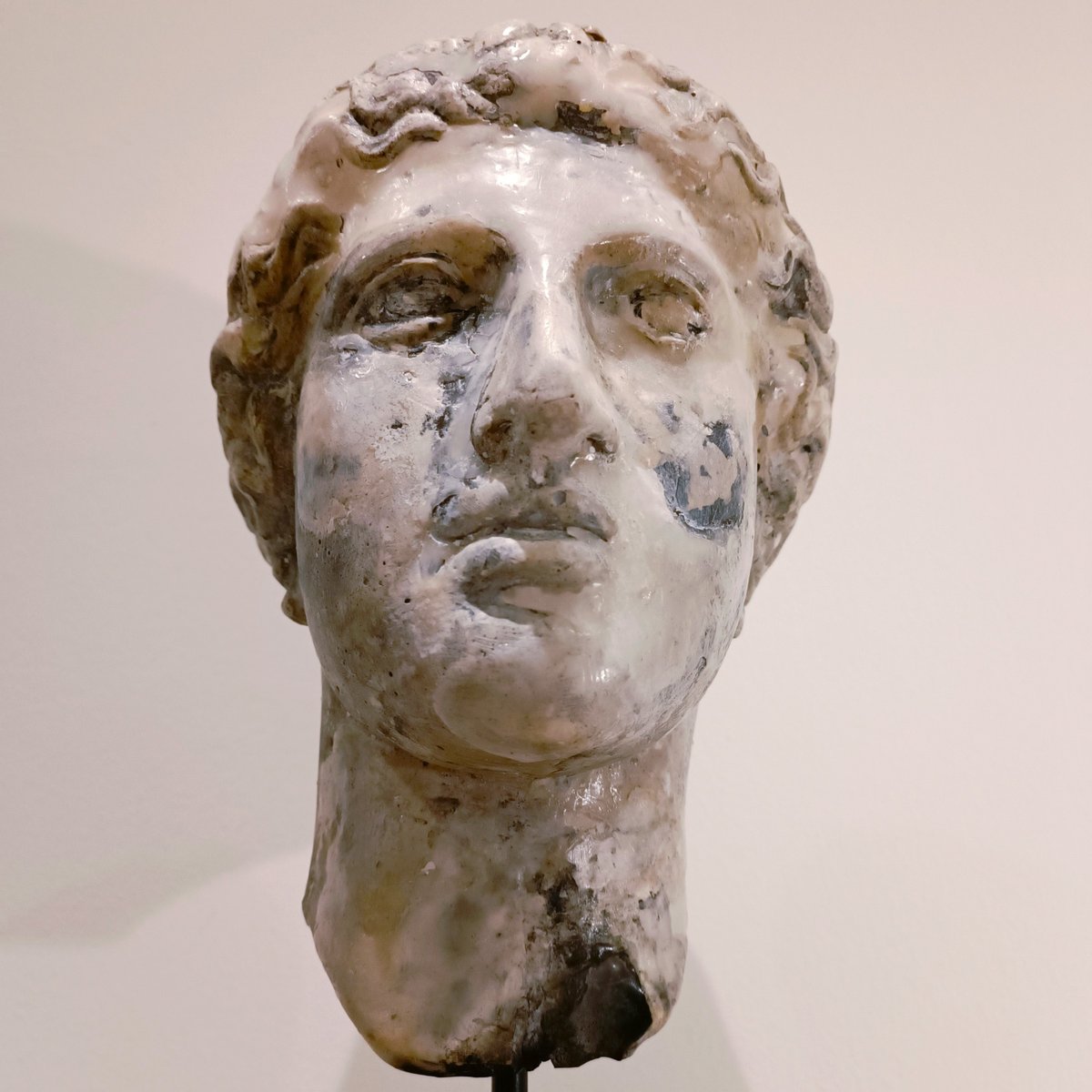 Academic Sculpture Head of Hera, 1950s, Wax for sale at Pamono