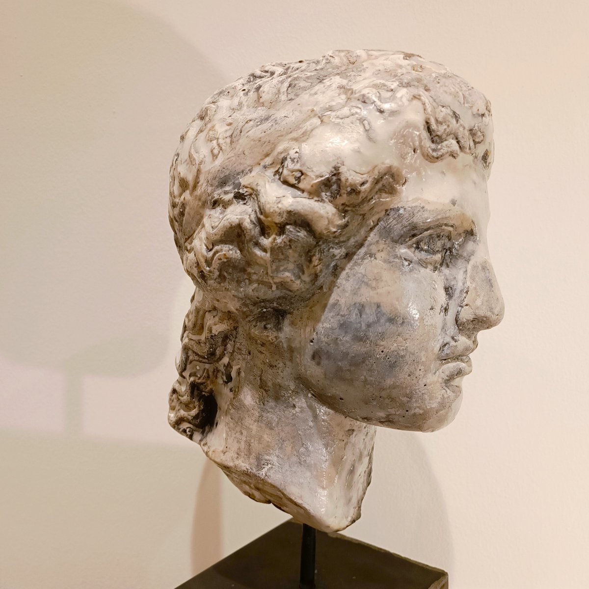 Academic Sculpture Head of Hera, 1950s, Wax for sale at Pamono