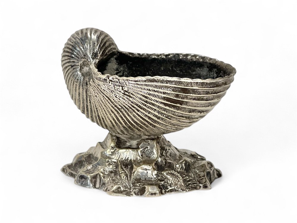 Vintage Art Deco Nautilus Shell Salt Cellar in Metal, 1930s for sale at ...
