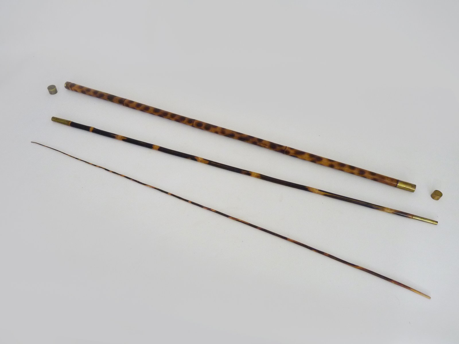 Walking Stick with Bamboo Fishing Rod System, 1890s for sale at Pamono