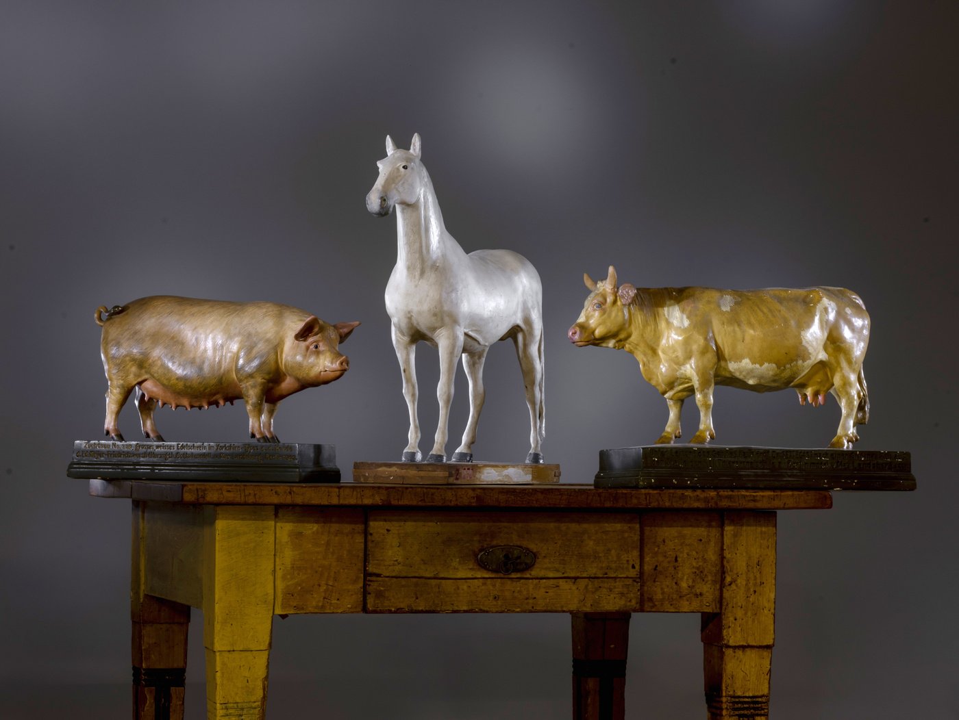 Max Landsberg, Pig Model, 1889, Plaster for sale at Pamono