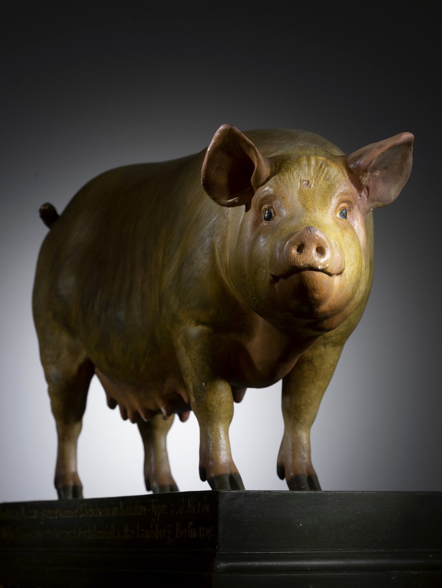Max Landsberg, Pig Model, 1889, Plaster for sale at Pamono