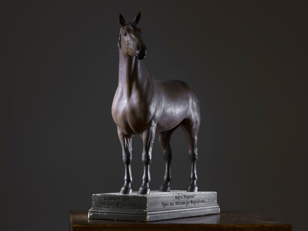 Max Landsberg, Oldenburg Draft Horse Model, 1900s, Plaster for sale at ...