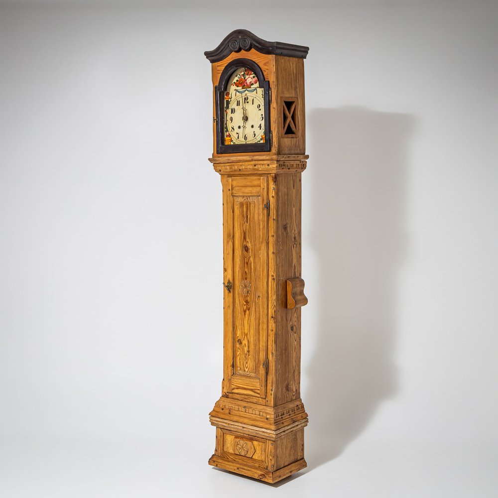 South German Longcase Clock, 1850s for sale at Pamono