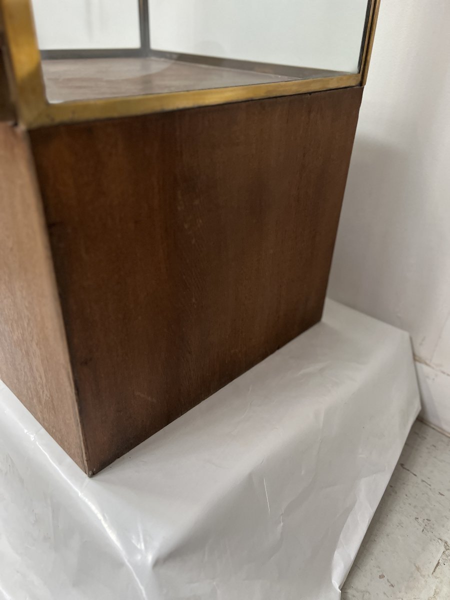 Brass Shop Display Case on Oak Cabinet, 20th Century for sale at Pamono