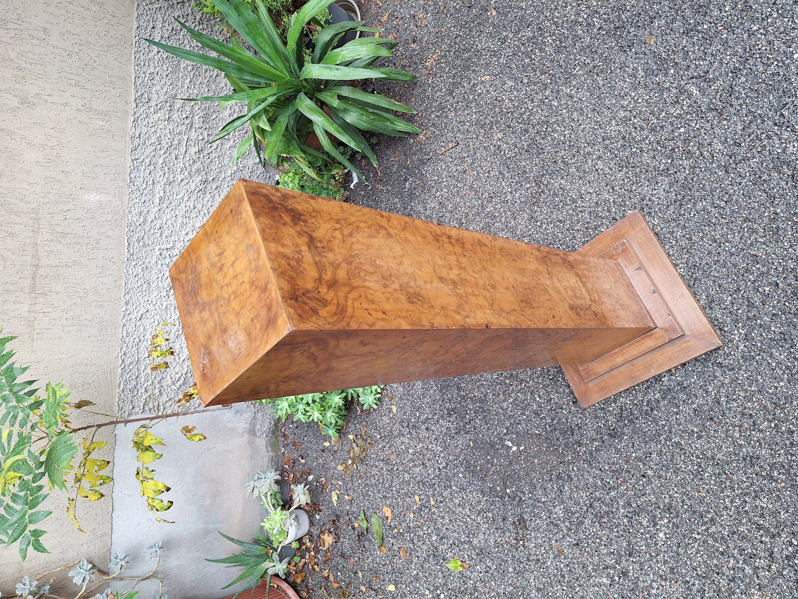 Art Deco Display Column in Walnut Burl, 1940s for sale at Pamono