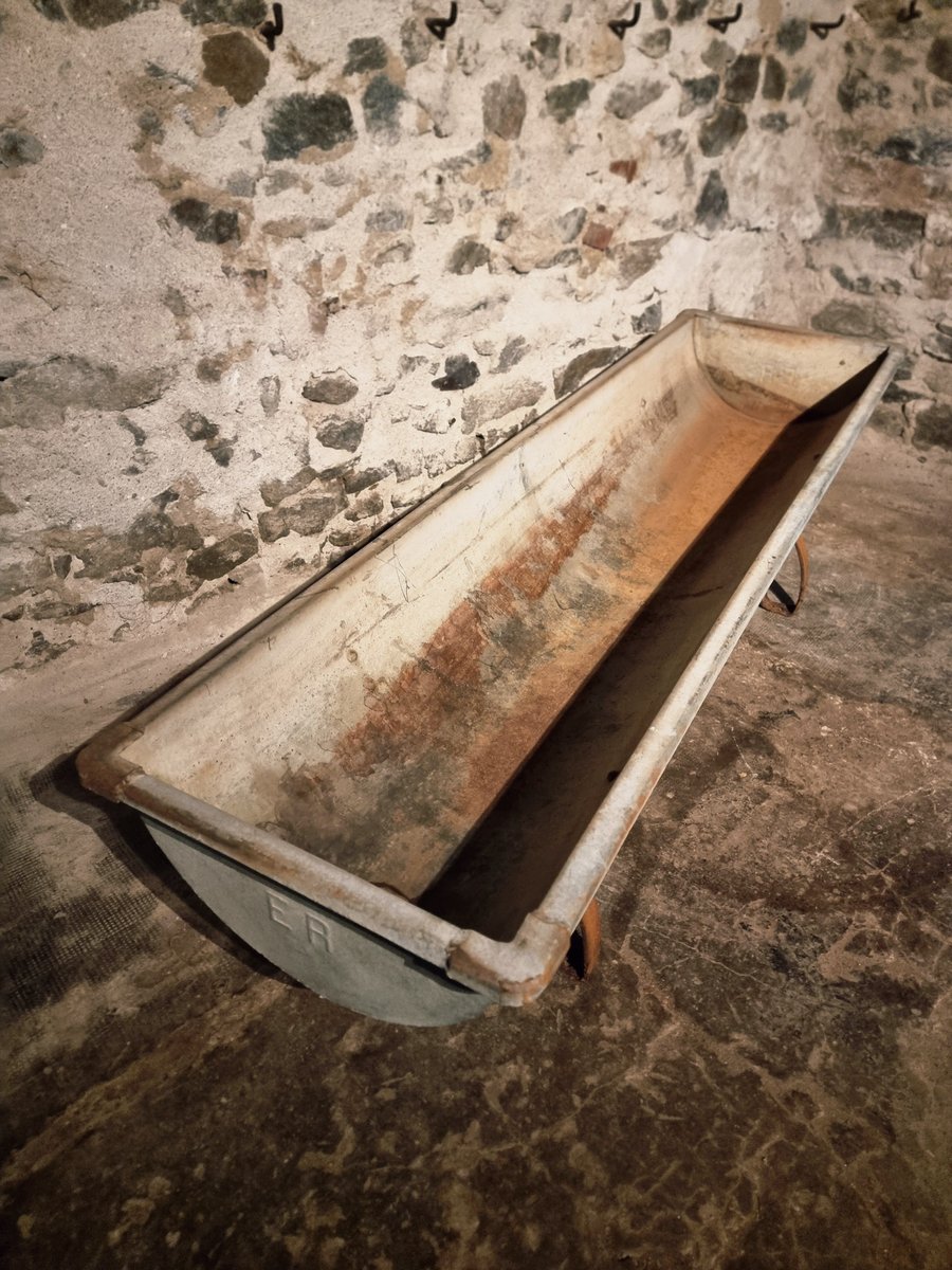 Vintage French Galvanized Iron Feeding Trough, 1930s for sale at Pamono