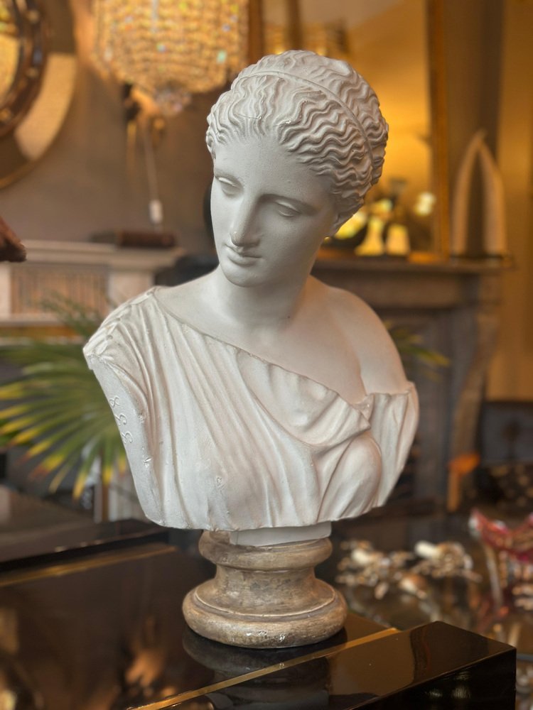 Louvre Museum Bust, 1900s, Plaster for sale at Pamono