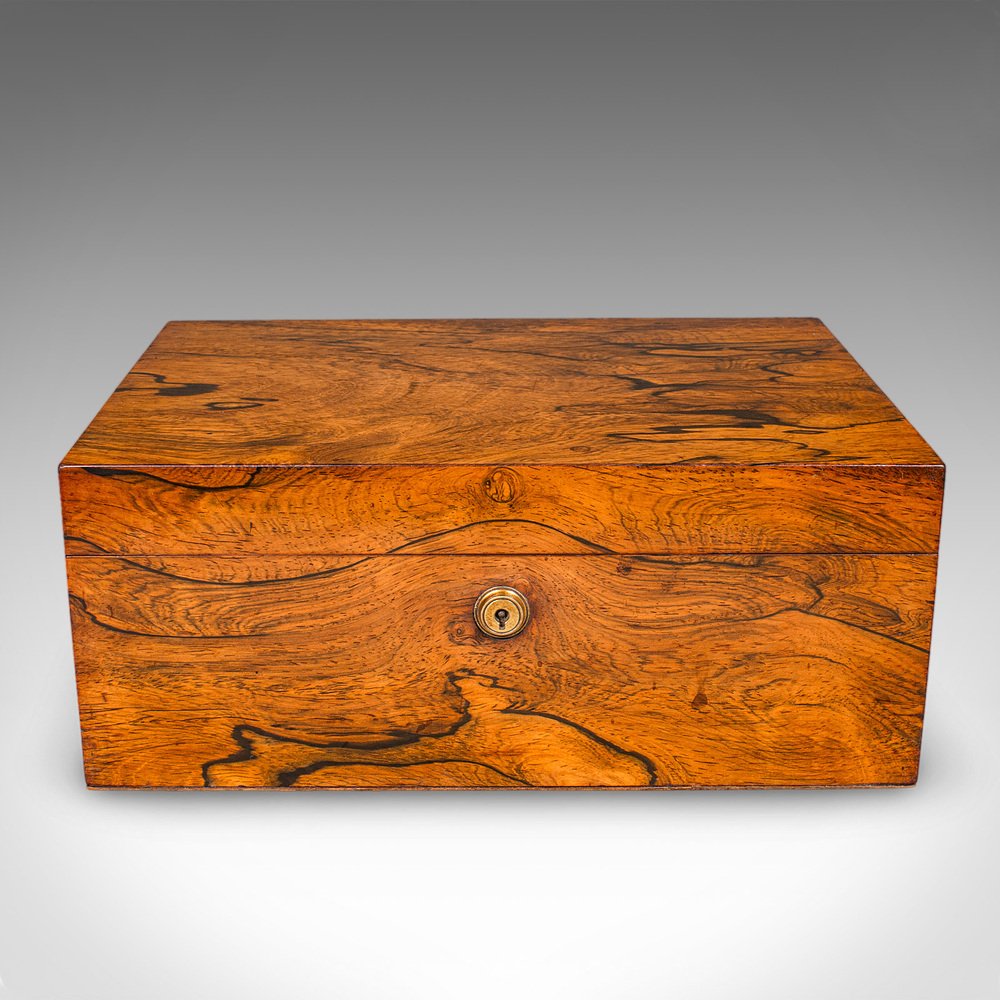 Antique English Regency Gentleman's Document Box, 1820 for sale at Pamono