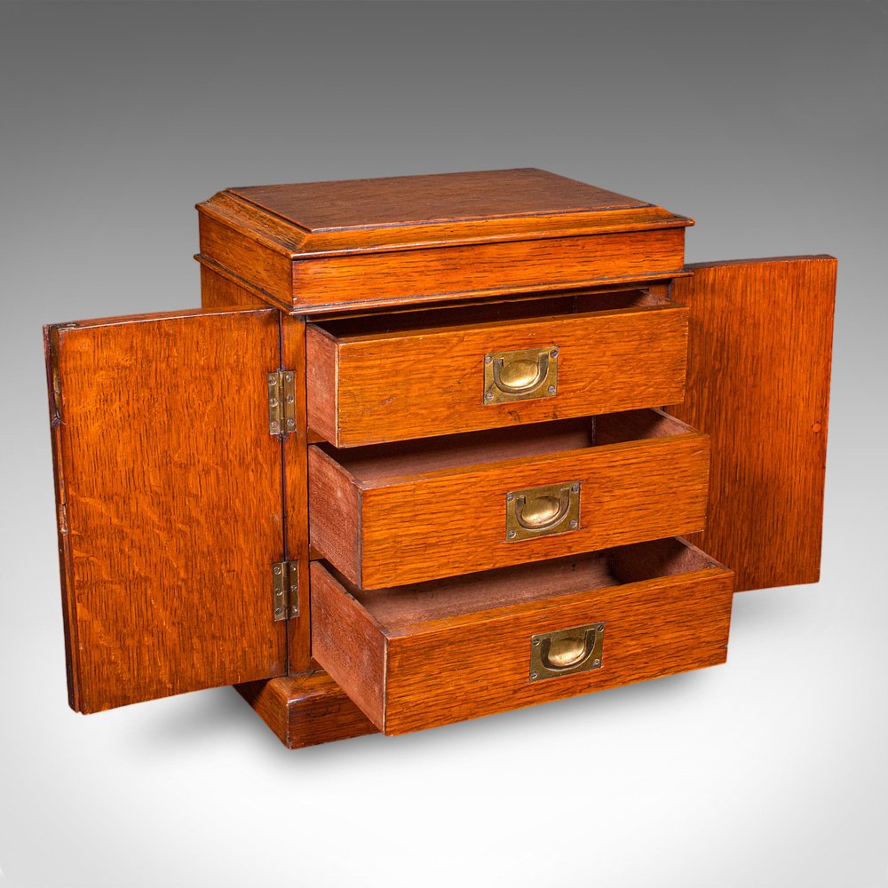 Small Antique English Victorian Collector's Cabinet in Oak, 1880 for ...