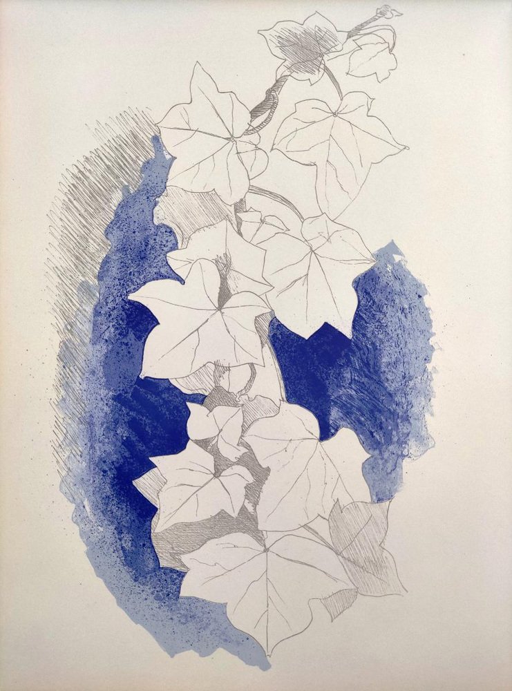 Georges Braque, Carnets intimes de Braque III, 1955, Lithograph for sale at Pamono