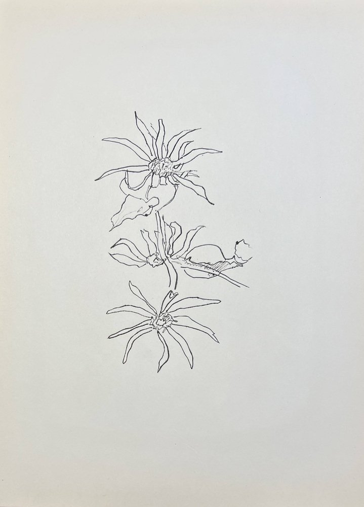 Georges Braque, Carnets intimes de Braque IX, 1955, Lithograph for sale at Pamono