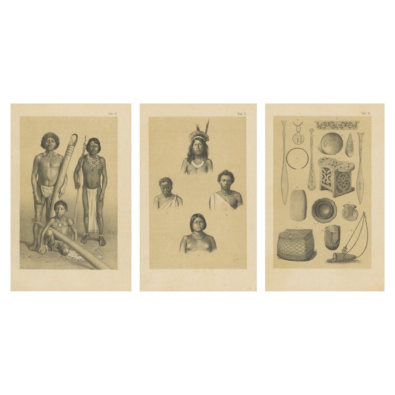 After Karl Martin, Suriname Indigenous People & Tribal Objects ...