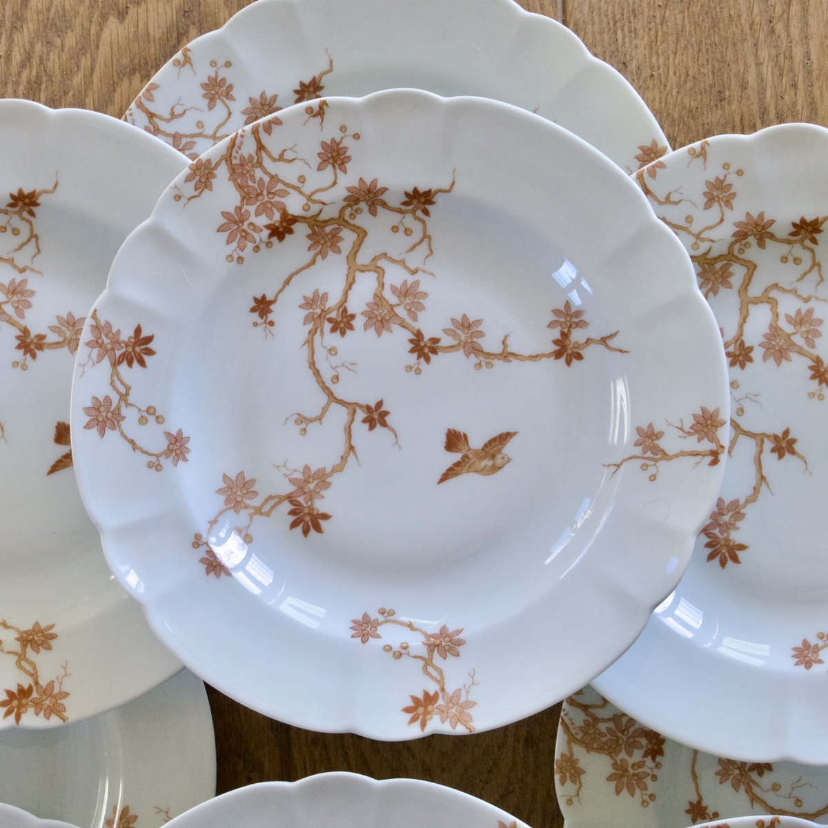 Vintage Limoges Porcelain Plates from Haviland, 1930s, Set of 10 for ...