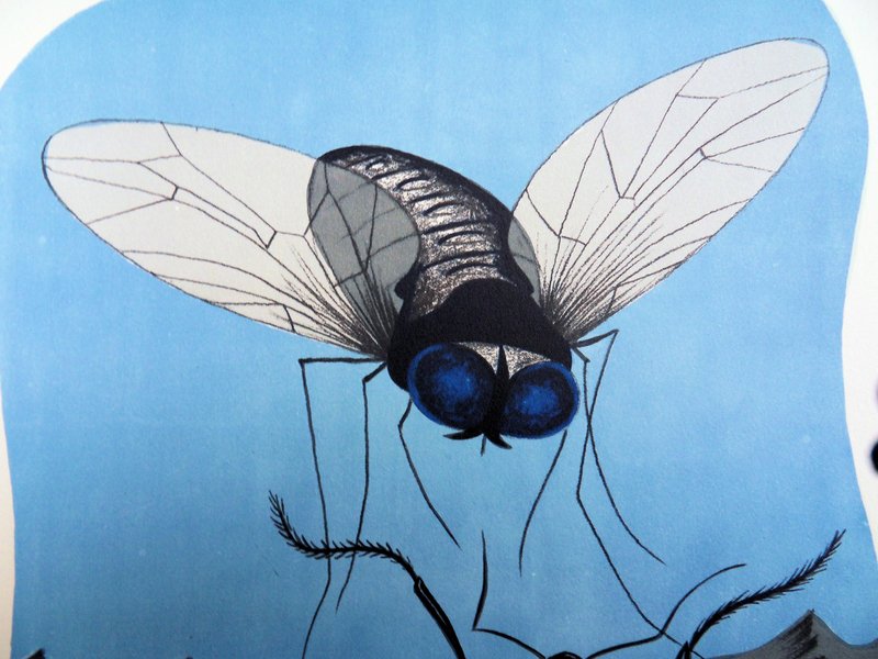 Félix Labisse, The Fly and the Ant, Original Lithograph for sale at Pamono