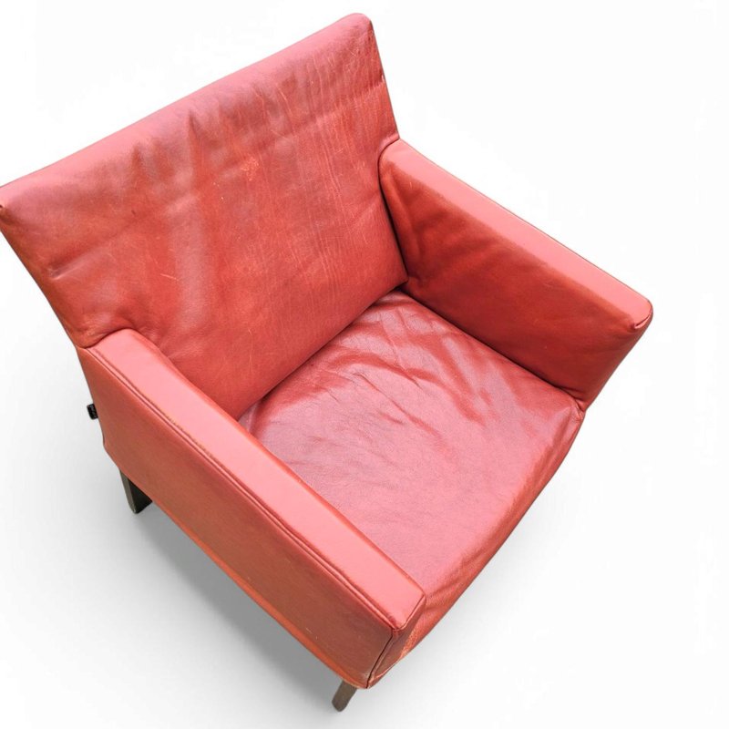 Fellini Chairs by Gerard van den Berg for Label, 1990s, Set of 5 for ...