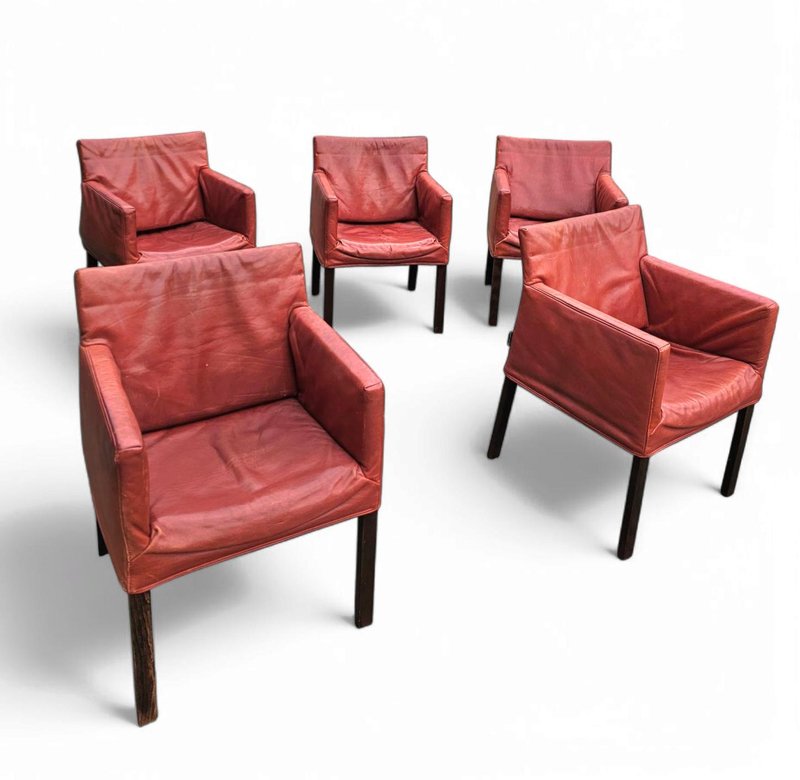 Fellini Chairs by Gerard van den Berg for Label, 1990s, Set of 5 for ...