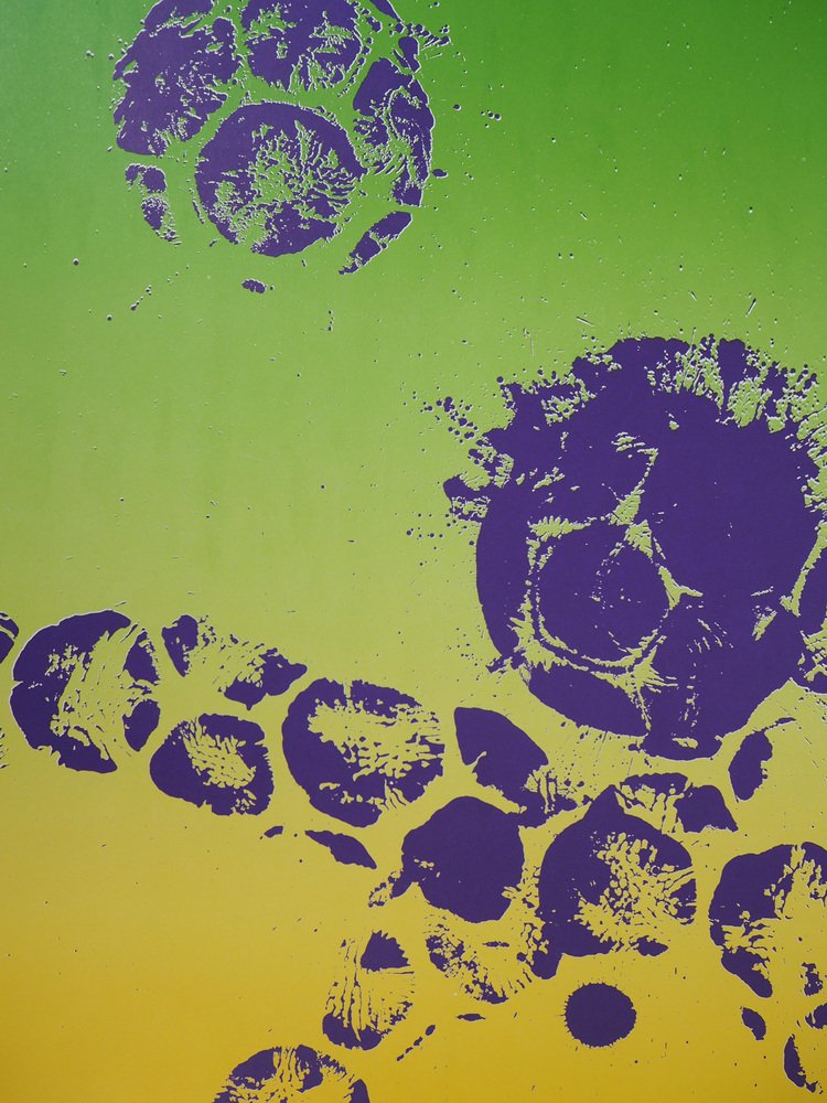 Pierre Alechinsky, Calcio, Coppa del Mondo di Alicante, 1982 ...