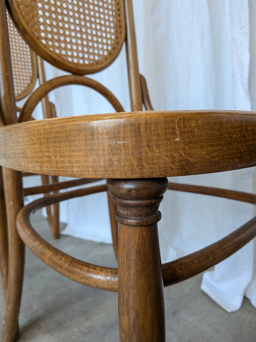 Vintage Bentwood Cane Dining Chairs, 1970s, Set of 6 for sale at Pamono