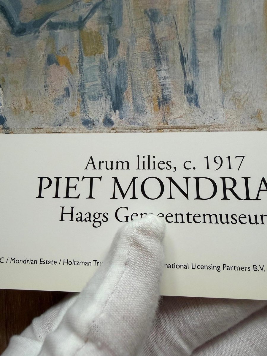 Piet Mondrian, Aronskelken, Estampe en vente sur Pamono