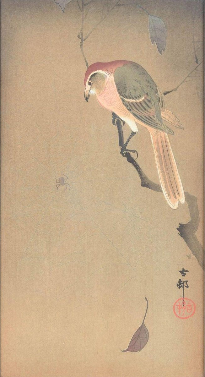 Ohara Koson, The Bird and the Spider, 1930s, Gouache and Ink on Silk ...
