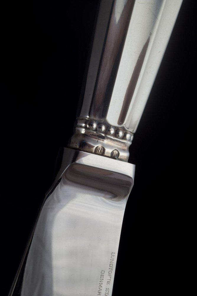 Vintage Cake Knife in Sterling Silver and Stainless Steel from Georg ...