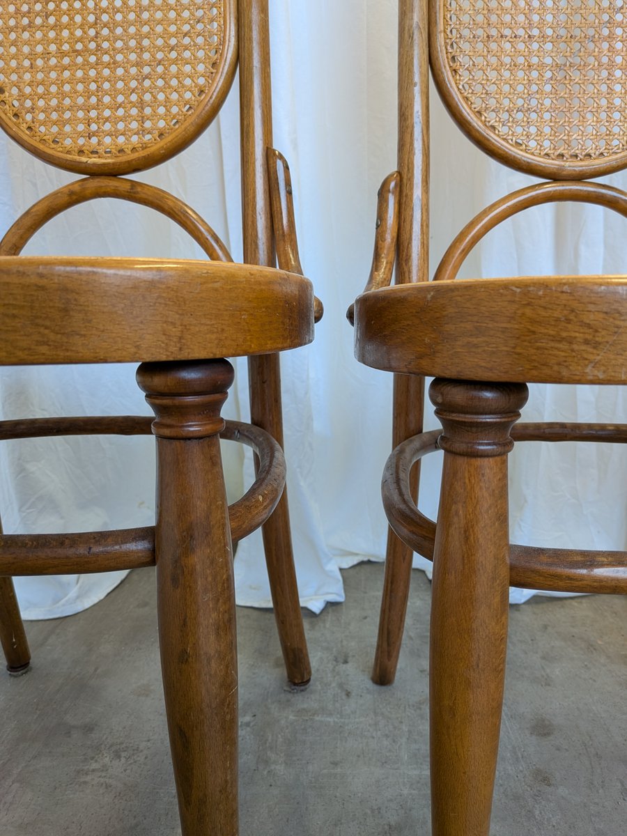 Vintage Bentwood and Cane Dining Chairs, Former Yugoslavia, 1970s, Set ...