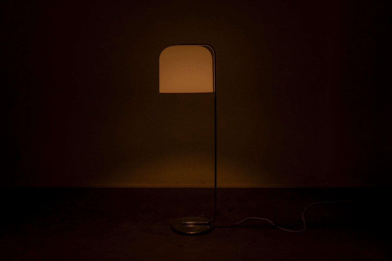 MCM Alvise Floor Lamp by Luigi Massoni for Guzzini, 1960s for sale at ...