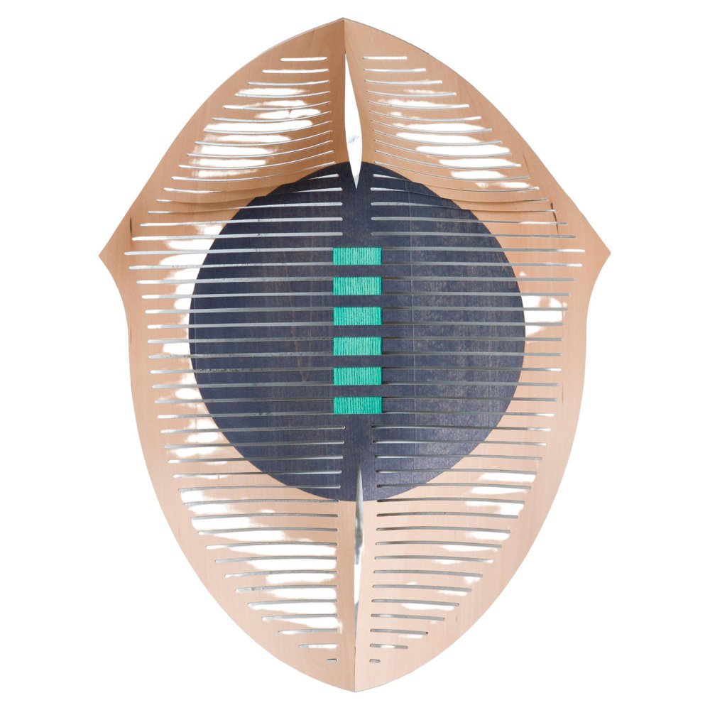 Exo Organic Wood Wall Sculpture by Martens & Visser for sale at Pamono