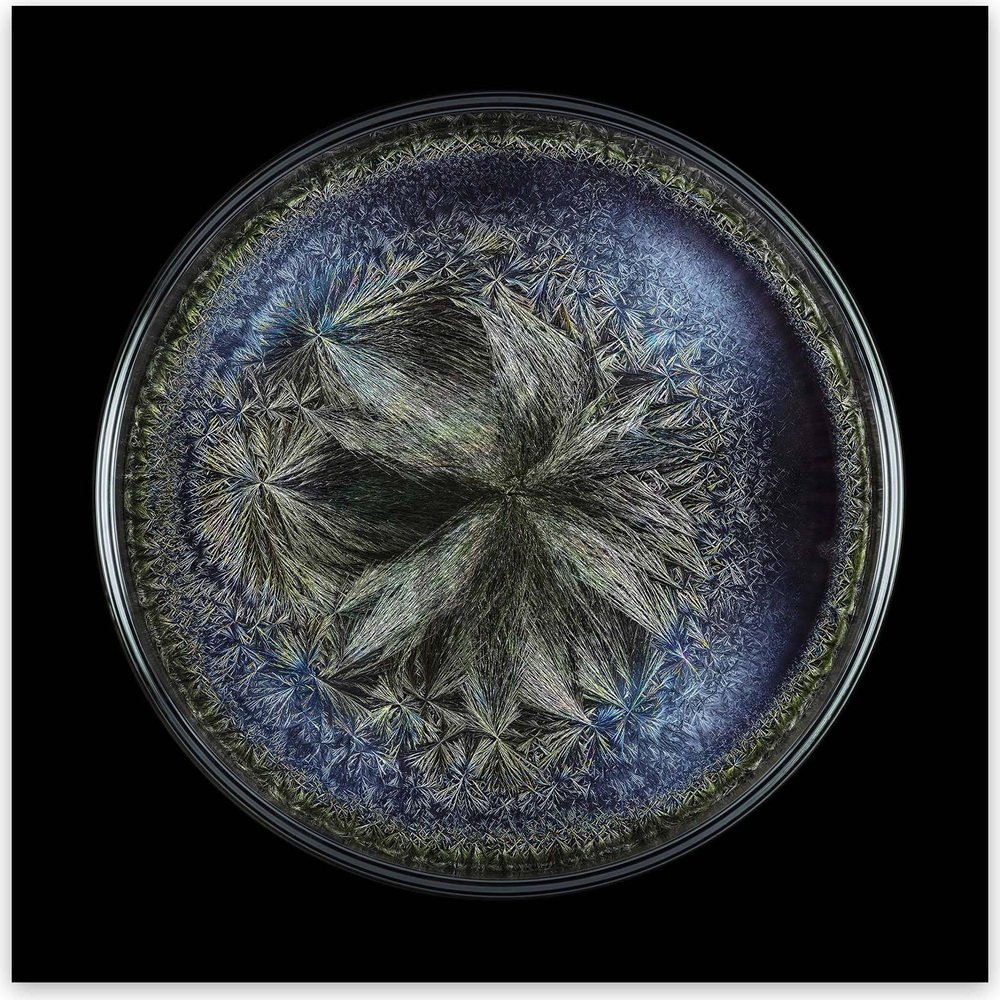Seb Janiak, Morphogenetic Field, Beluga Caviar, Fotodruck, 2016 bei ...