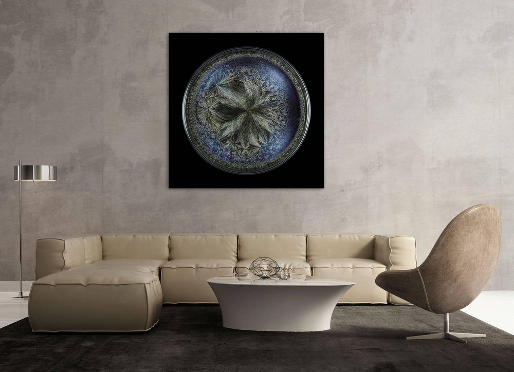 Seb Janiak, Morphogenetic Field, Beluga Caviar, Fotodruck, 2016 bei ...