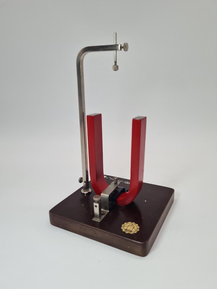 Vintage Polish Aid Demonstration Model with Magnet, 1960s for sale at ...