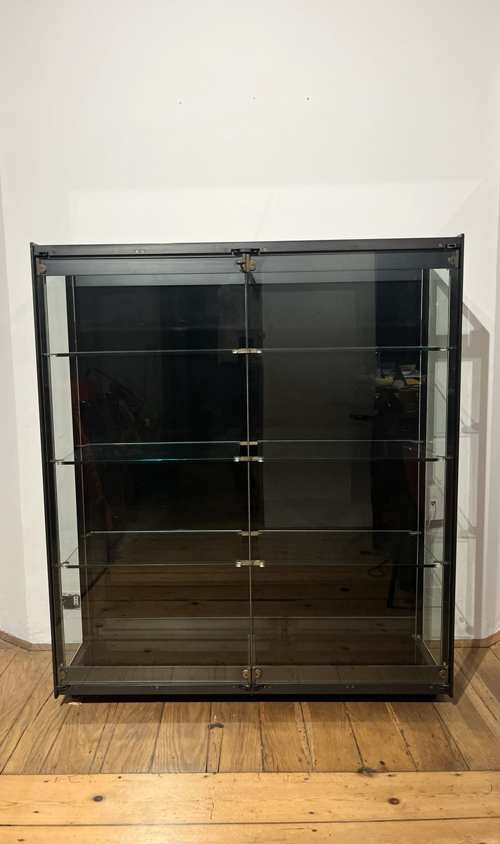 Sculptural Display Case by Afra and Tobia Scarpa for Goppion, 1980s for ...