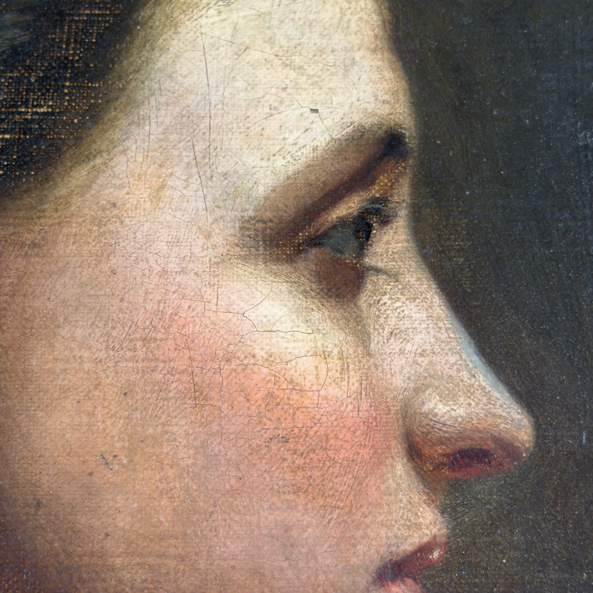 Portrait of a Noble Lady in Profile, 19th Century, Oil on Canvas for ...
